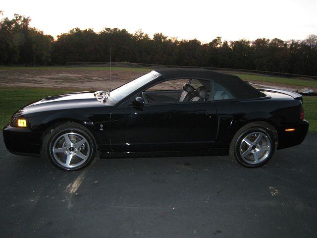 2003 Ford Mustang SVT Cobra Convertible for sale