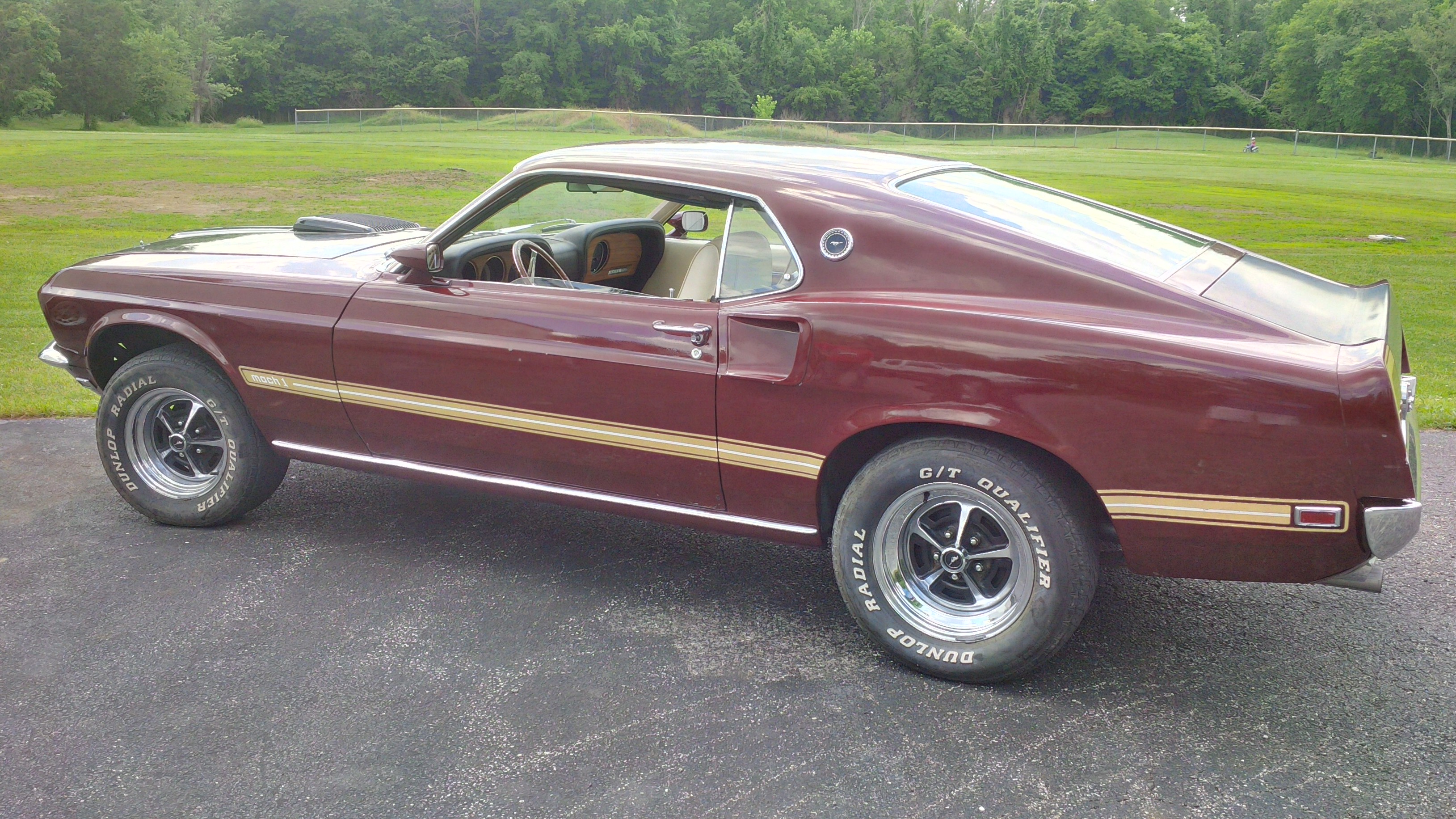 1969 Ford Mustang Mach 1 for sale